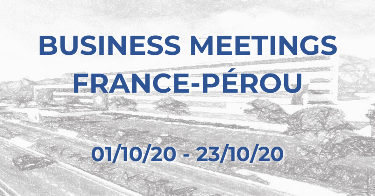 Business Meeting France-Pérou | CCI FRANCE PÉROU